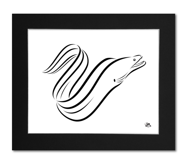 Moray Eel Wall Art Print - Museum Quality Black And White Eel Artwork ...